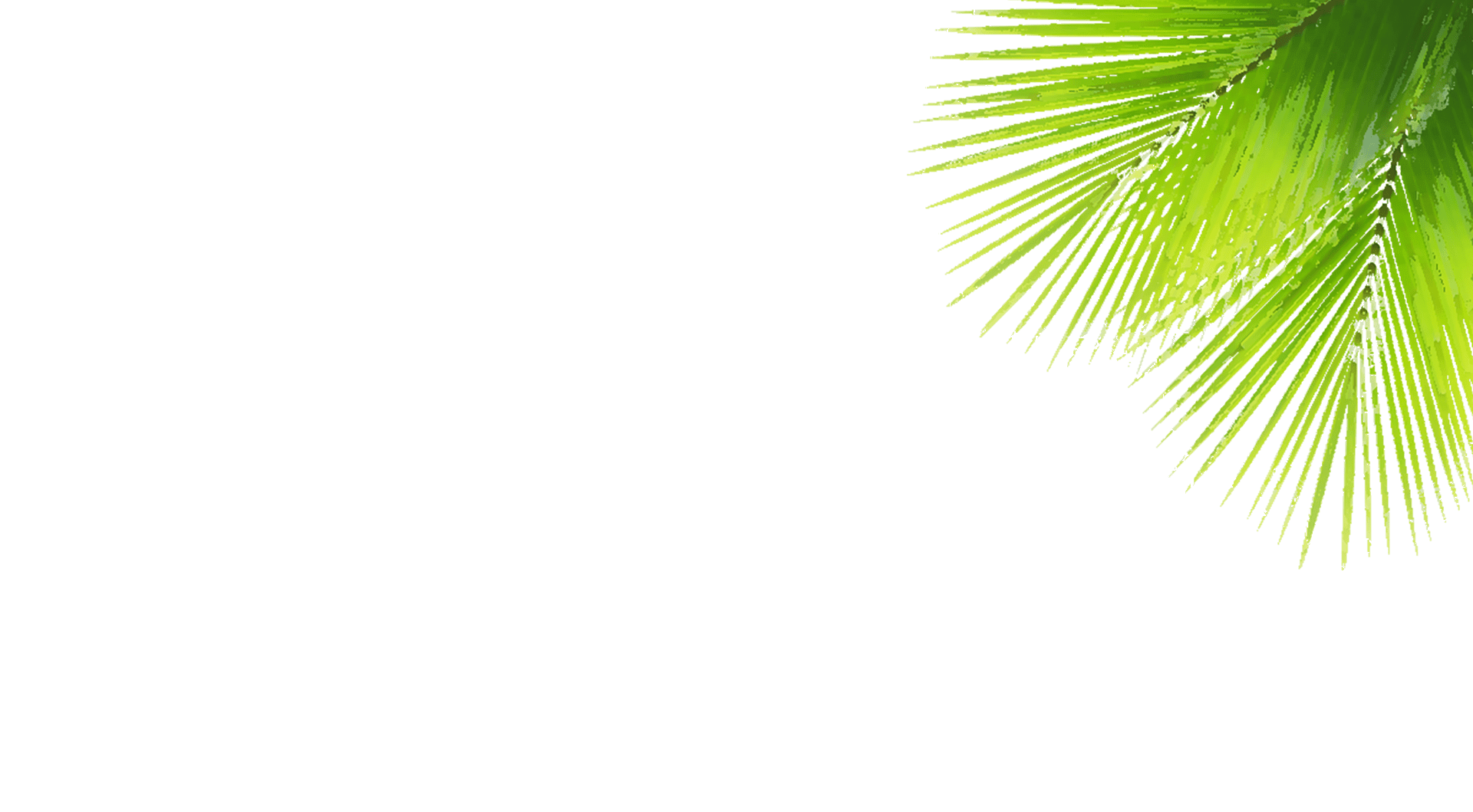 flats & apartments in greater noida west | Coco County